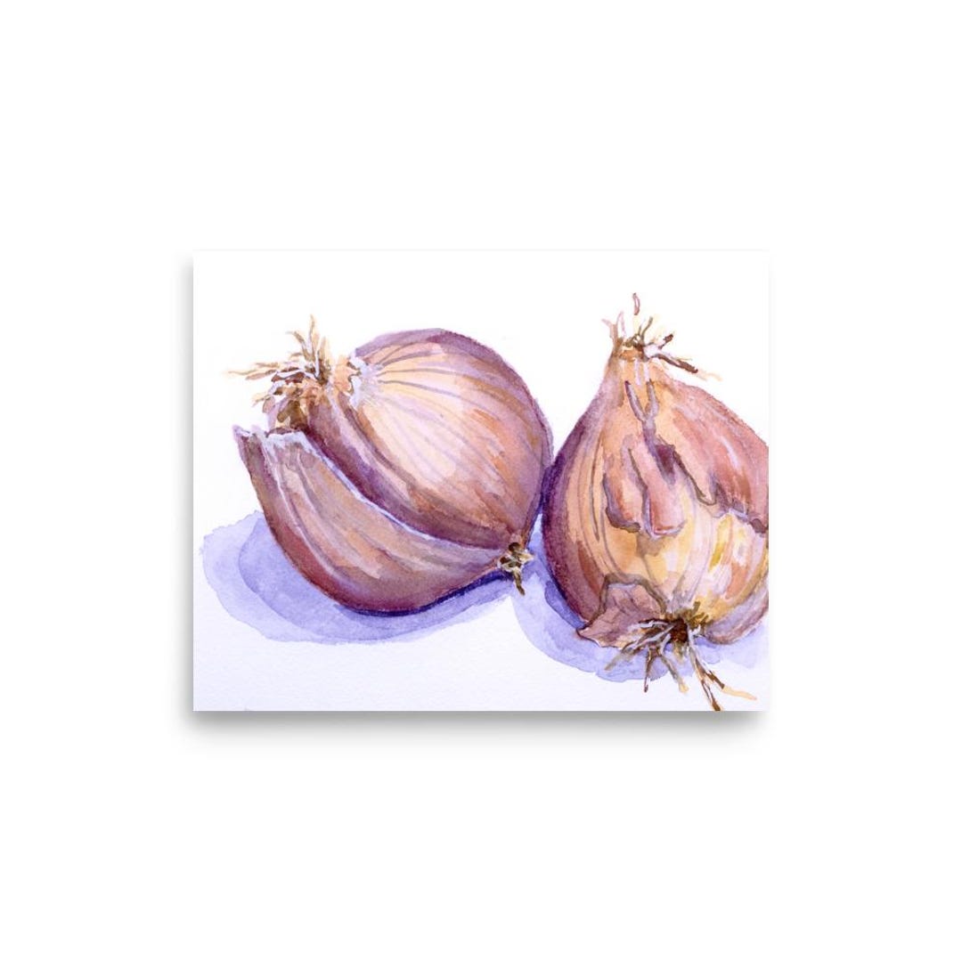 Onion Painting Watercolor Painting Botanical Kitchen Art Print ...