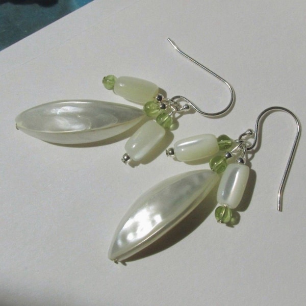 Trochus Shell - Etsy