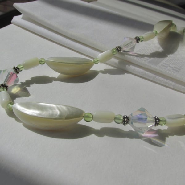 Trochus Shell - Etsy