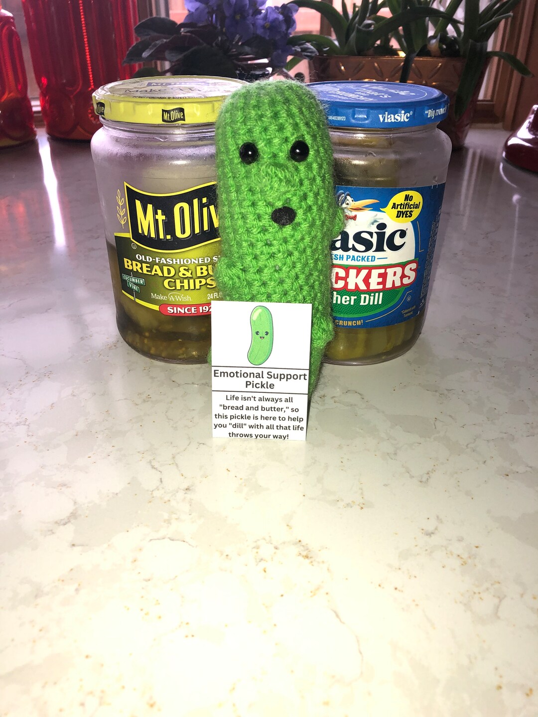 PICKLE Emotional Support Pickle Amigurumi W/ Laminated Card Gift ...