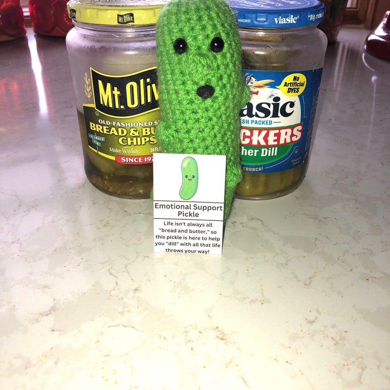 Emotional Support Pickle - Etsy