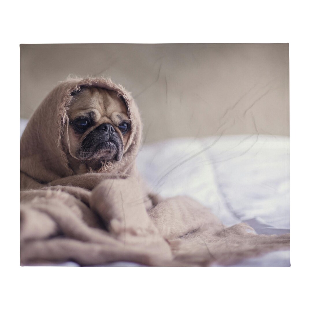 Pug in a Blanket, on a Blanket, Throw Blanket, Home Decor, Throw ...