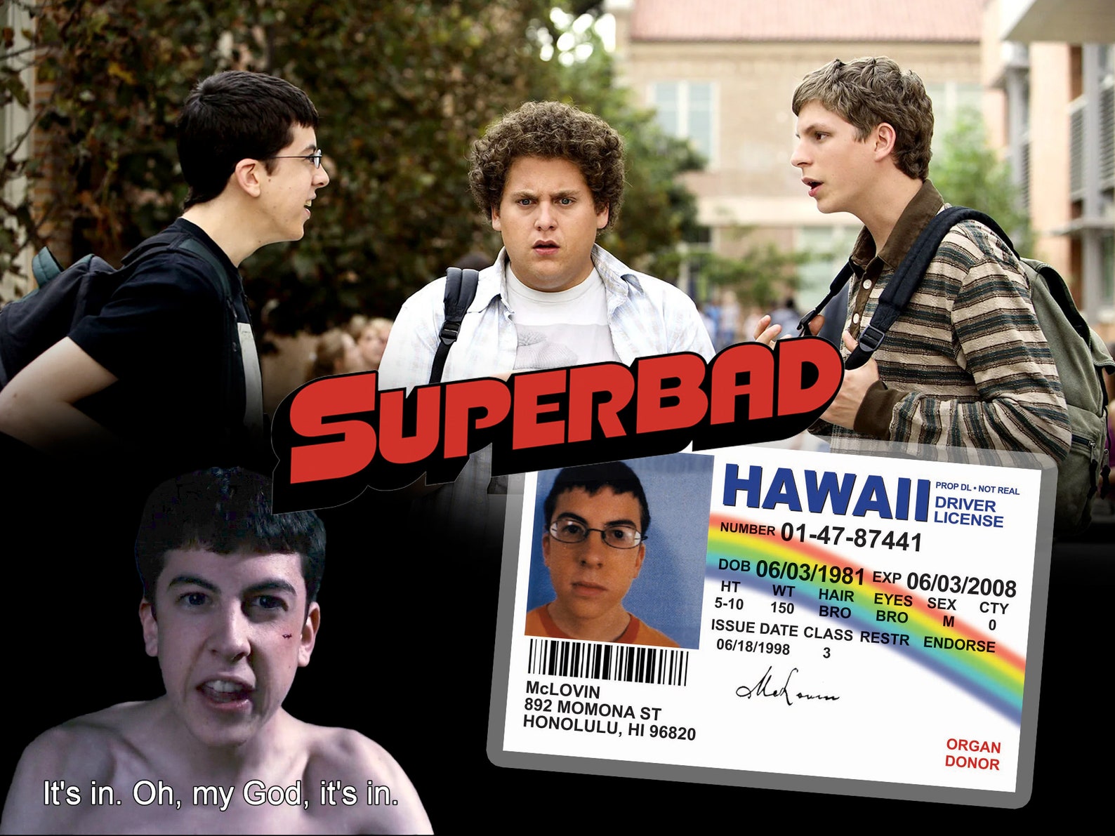 Mclovin Fake ID Mclovin License Superbad Mclovin - Etsy Israel