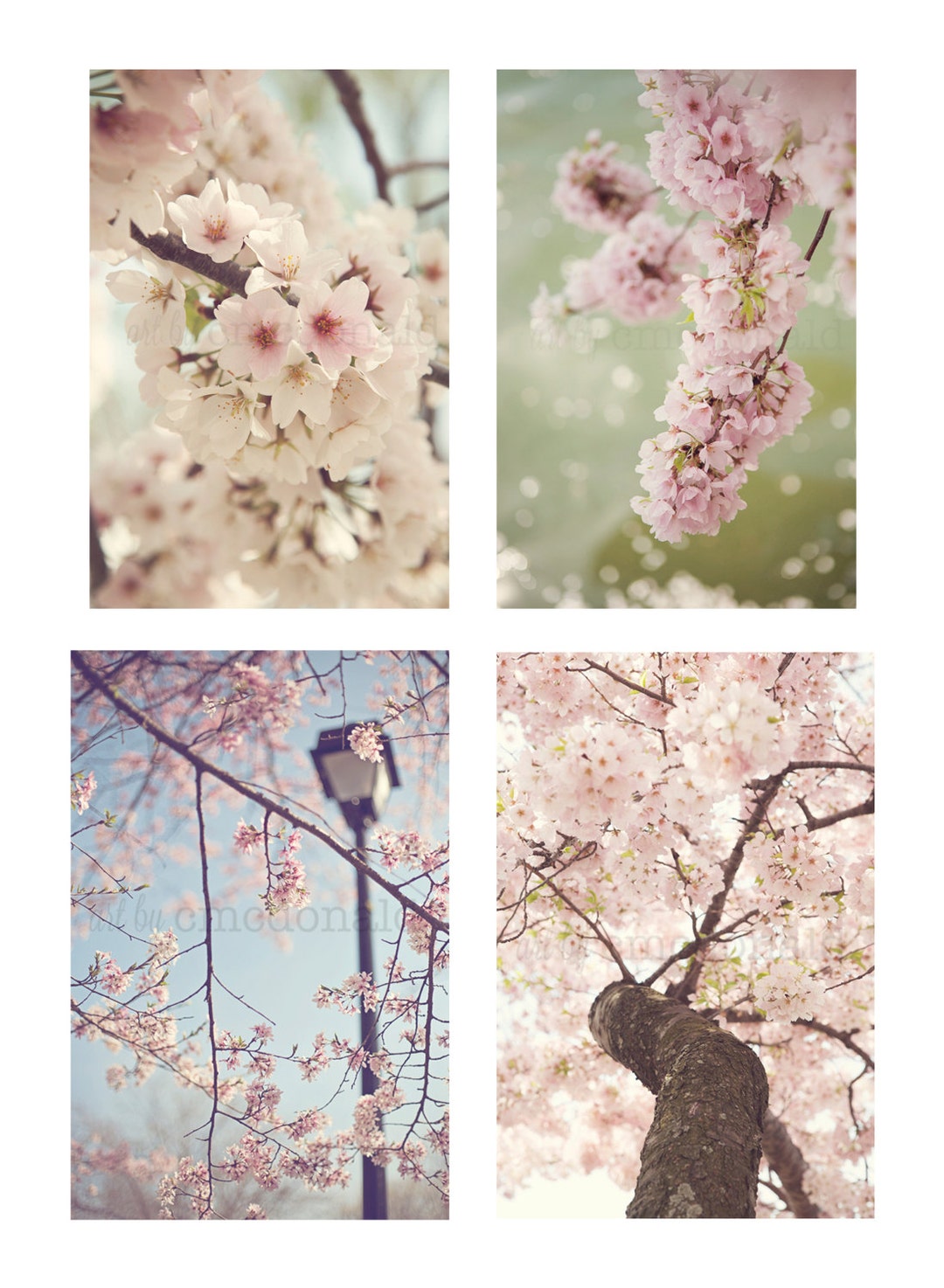 SET OF 4 Photographic Print Cherry Blossom, Spring, Nursery, Baby, Girl ...