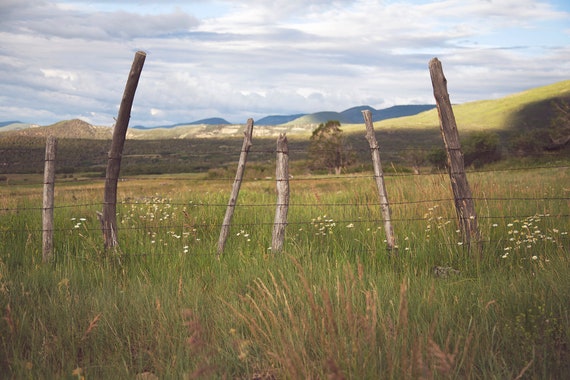 Collbran Colorado Photography, by wanderlustography | Catch My Party