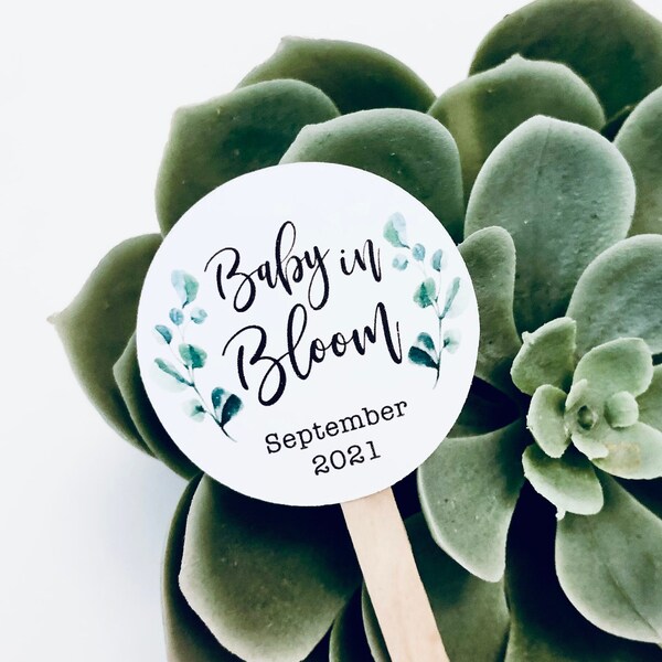 Baby in Bloom Tags - Etsy