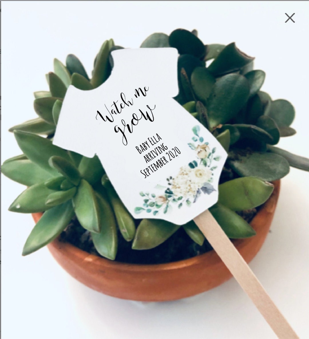 Digital File Greenery Watch Me Grow Tags Baby Shower Succulent Favor ...