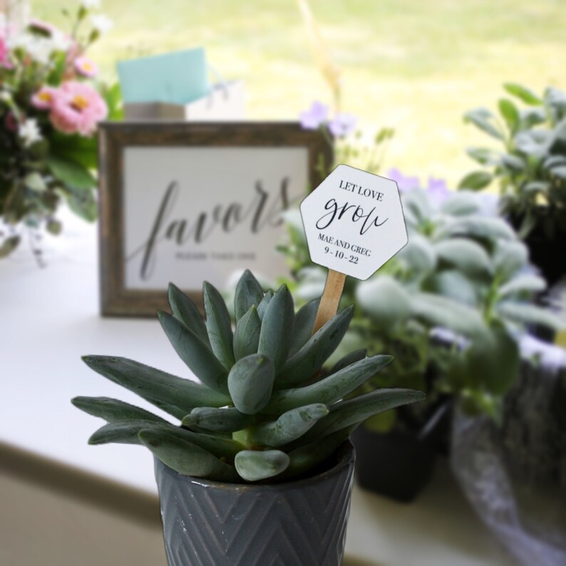 Let Love Grow Wedding Favor Tags, Personalized Plant Markers - Etsy