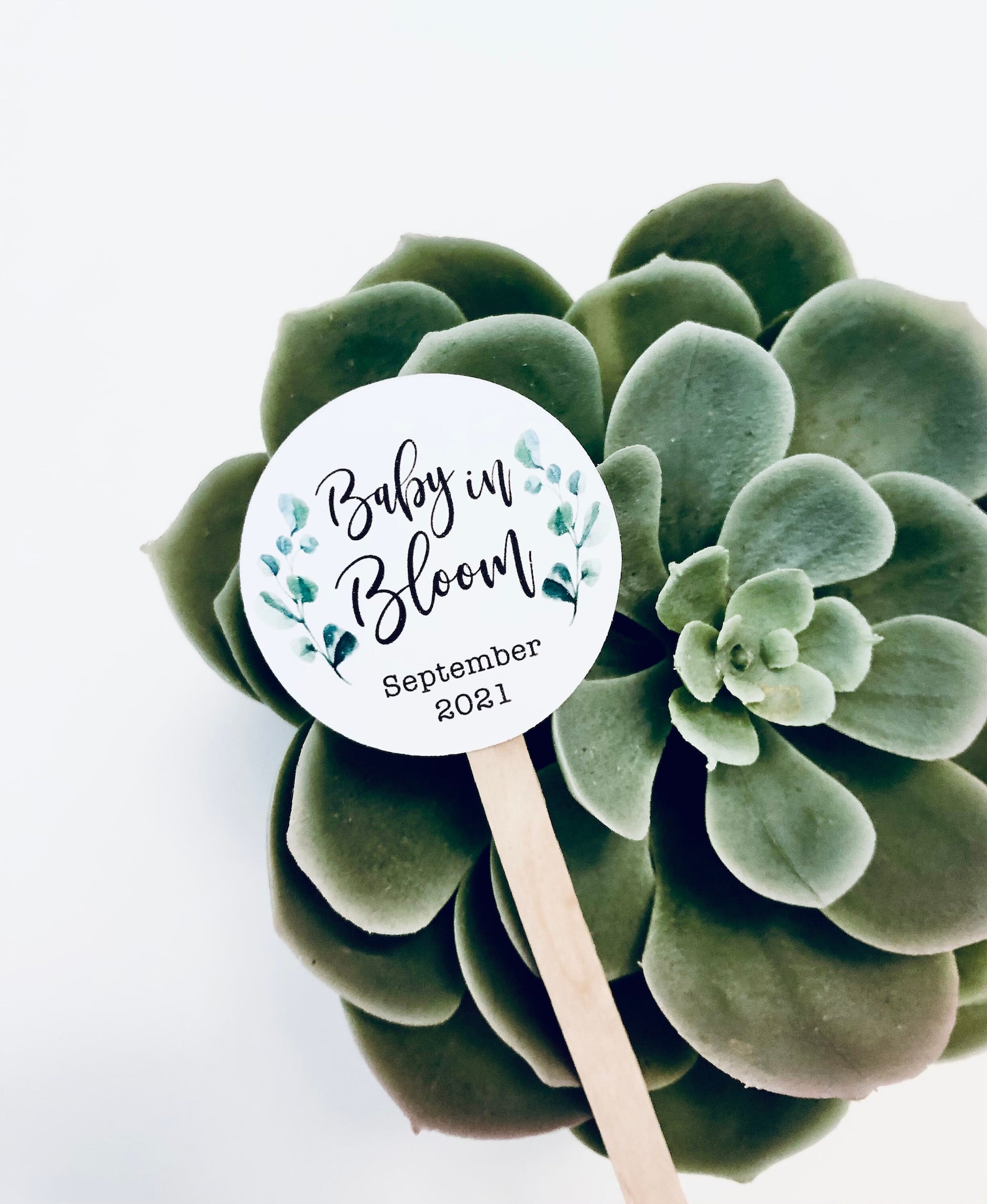 Baby in Bloom Tags 1.5 Baby Shower Favor Tags on Stick - Etsy