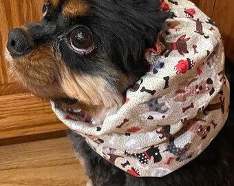 Christmas Paws Snood, King Charles Cavalier Snood, Cocker Snood ...