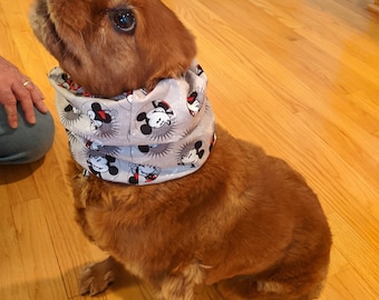 Music Lovers Dogs Snood, King Charles Cavalier Snood, Cocker Snood ...