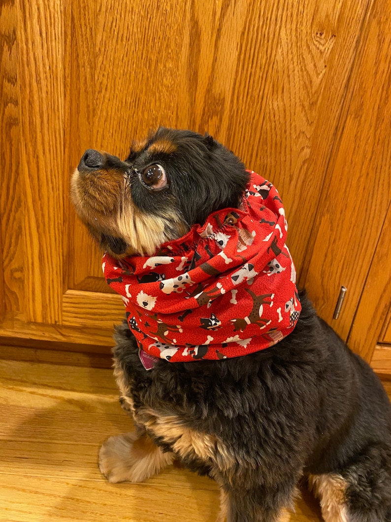 Happy Dogs Red Snood, King Charles Cavalier Snood, Cocker Snood ...