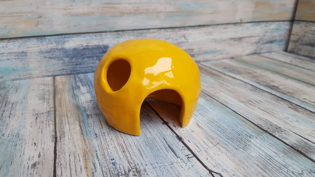 Small Fish Hide MADE TO ORDER Betta Fish Cave Small - Etsy