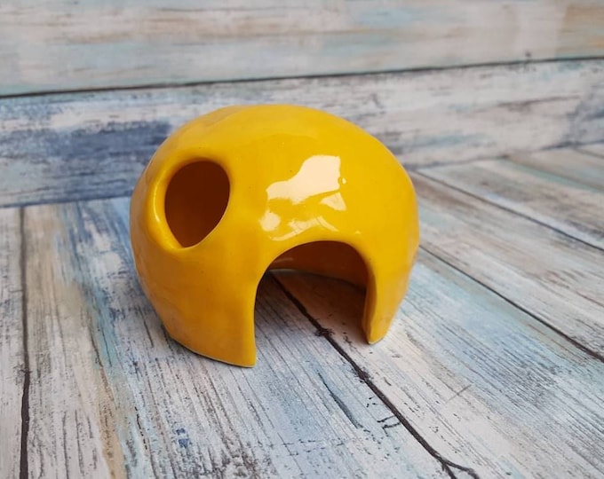 Ceramic Hideout, Axolotl Hide, Reptile Hide Ceramic, Axolotl Hideout ...