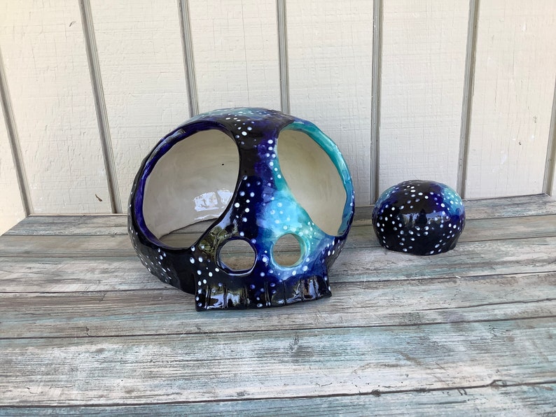 Axolotl Hide MADE TO ORDER Aquarium Skull Cave Jumbo - Etsy