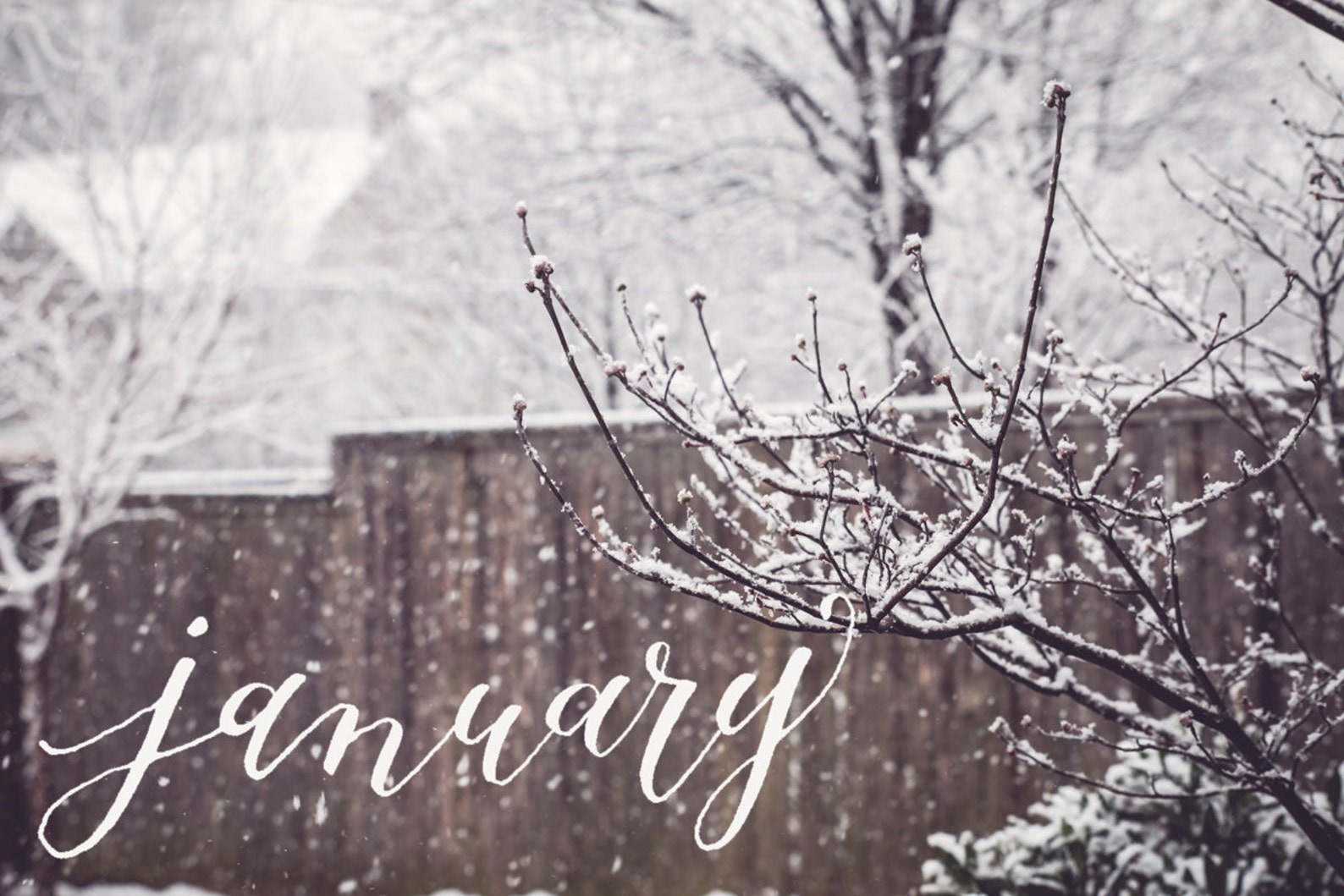 Months of the Year / Digital Word Art / Photoshop Brushes / *.abr and ...