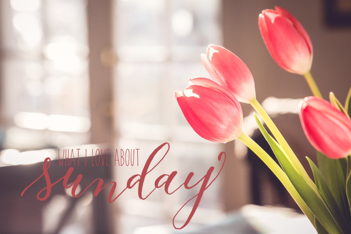 Days of the Week / Digital Word Art / Photoshop Brushes / *.abr and ...