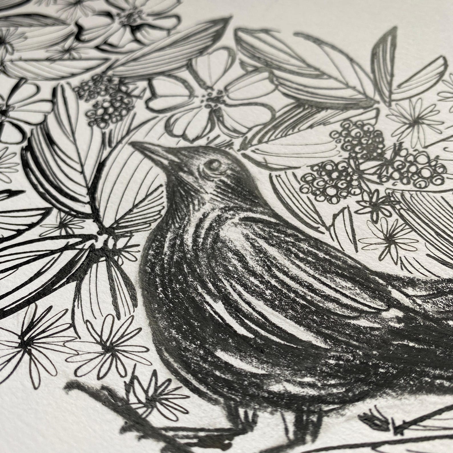 Blackbird Print - British Bird Art Print, Country Home Wall Decor ...