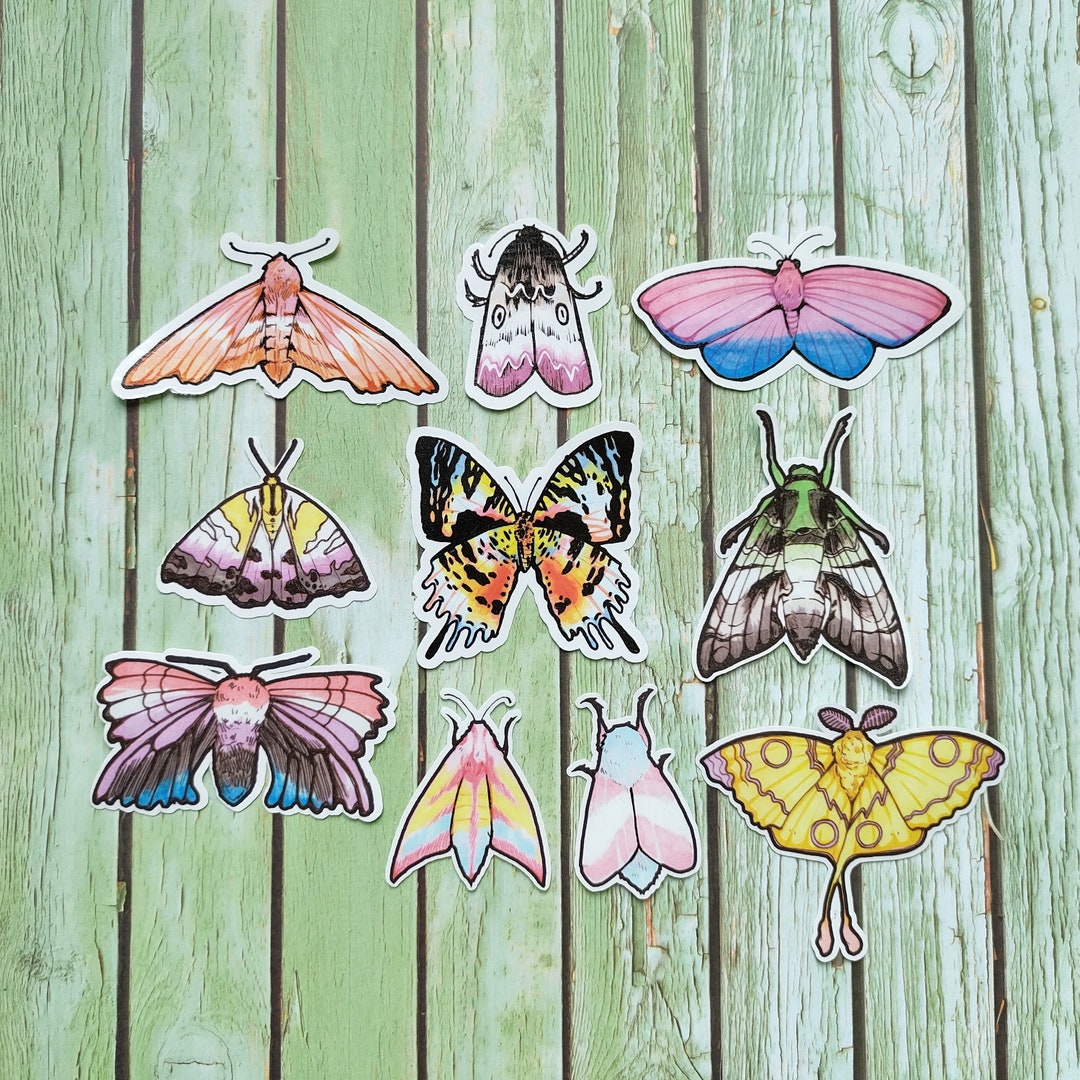 LGBTQ+ Pride Flag Moths Vinyl Sticker - Etsy UK