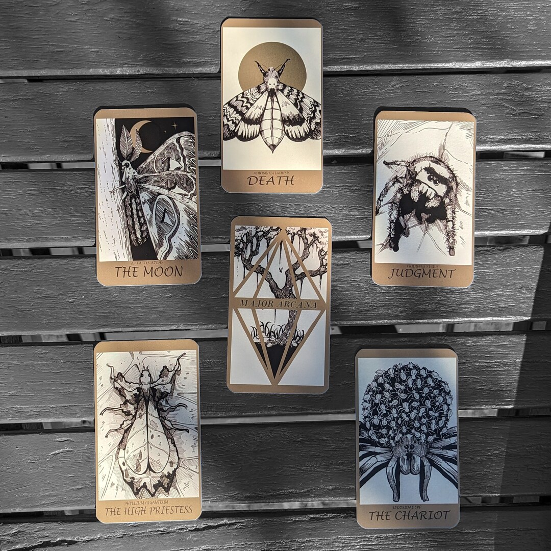 Entomology Bug Divination Major Arcana Tarot Card Deck, Illustrated ...
