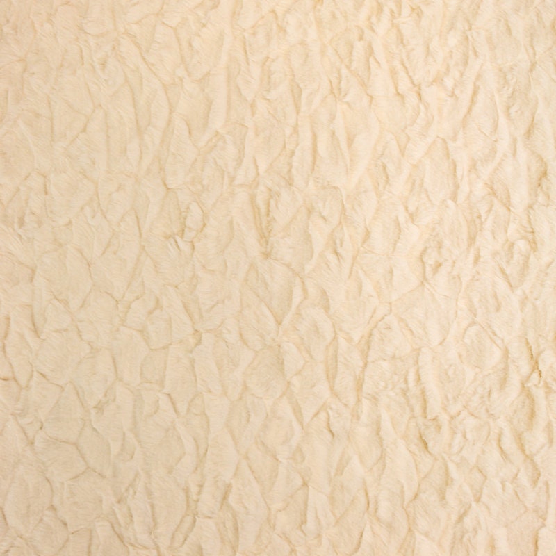 Ivory Cream Flan Cuddle Minky Fabric by the Yard for Costume, Throws ...