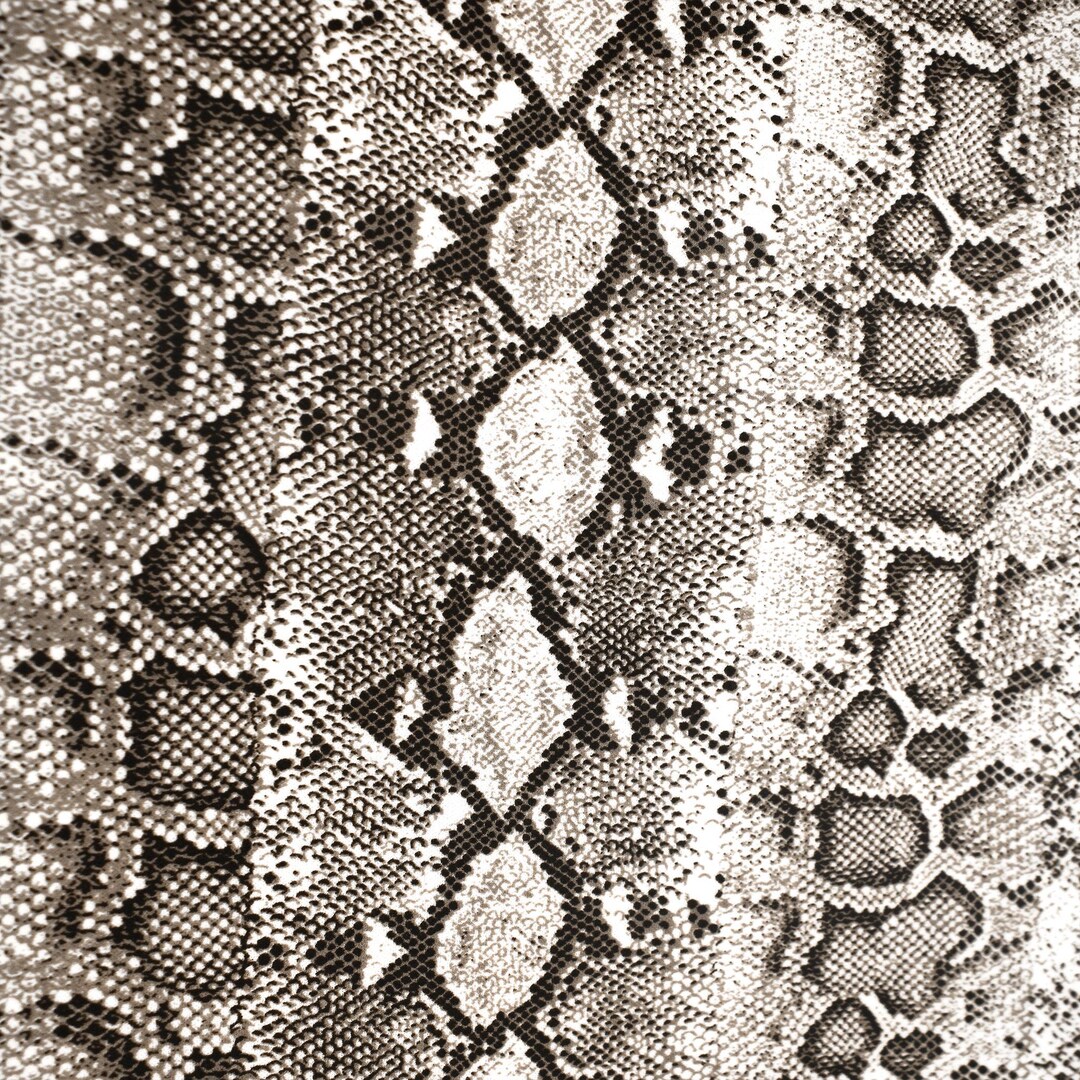 Off White Neutral Snake Skin Design Printed Scuba Crepe Techno Knit ...