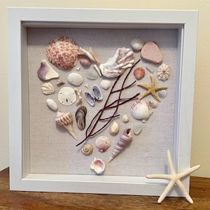 Shell Heart in White Shadow Box Frame With Pink Purple Shells, Sea ...