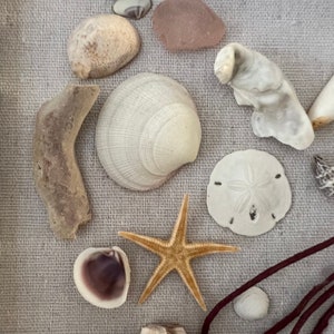 Shell Heart in White Shadow Box Frame, Seashell Art, Coastal Decor ...