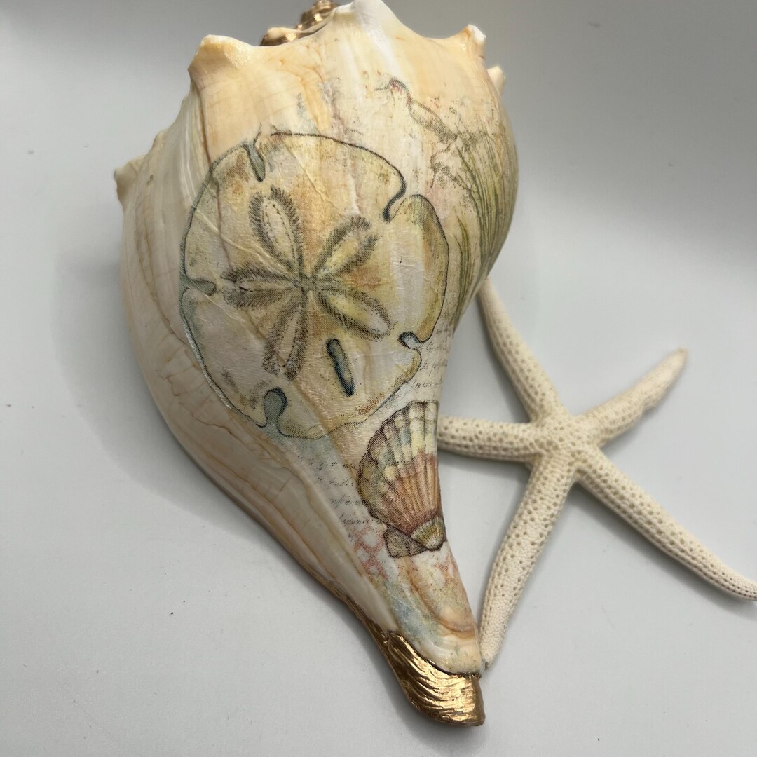 Whelk Seashell Decoupaged With Seahorse, Sanddollar, Starfish & Shell ...