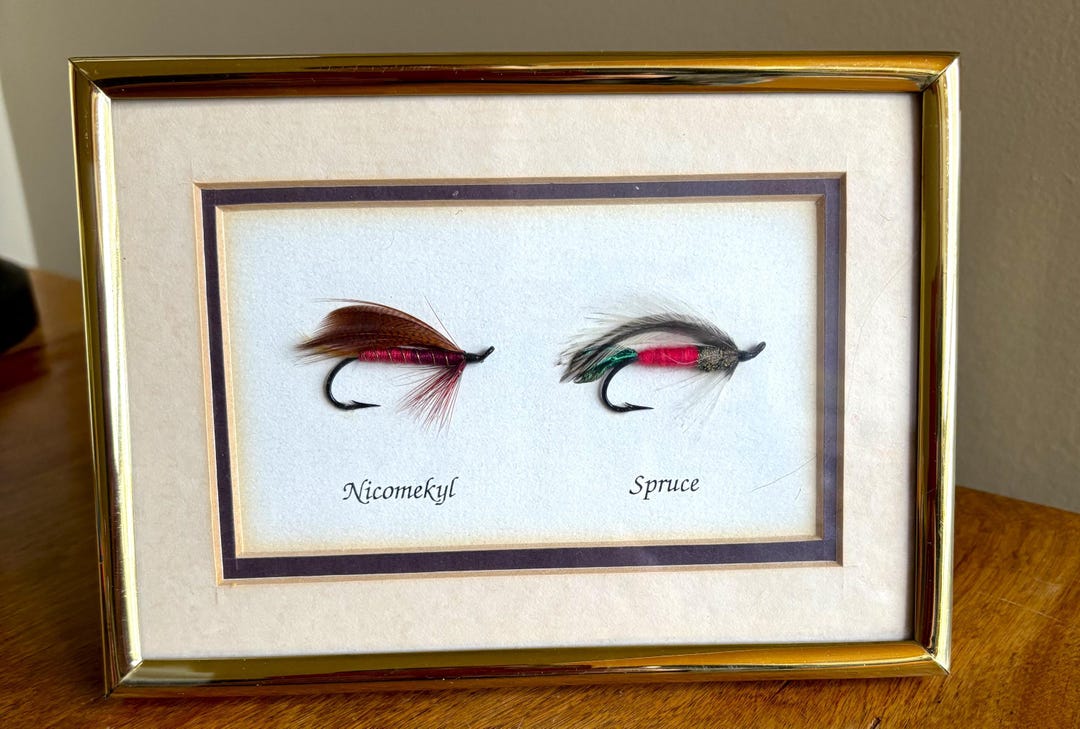 Framed Salmon Fishing Fly Flies Glass Front Frame Fathers Day Gift Man ...