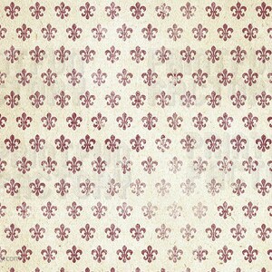 Fleur De Lis Digital Paper - Vintage Look French Flower Pattern on Old ...
