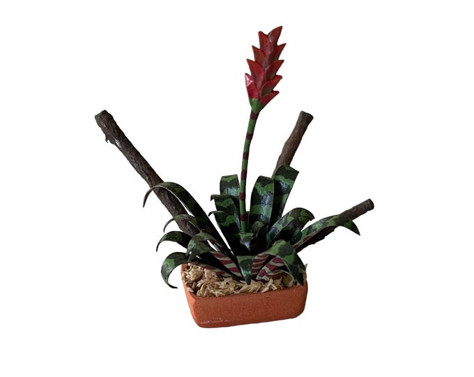 Dollhouse Miniature 1” Scale Bromeliad in Clay Pot - Etsy