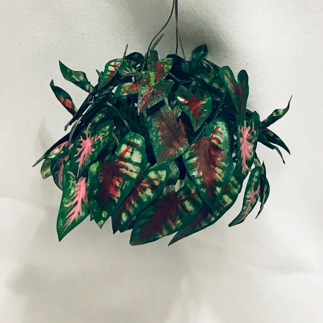 Dollhouse Miniature 1" Scale Hanging Caladium - Etsy