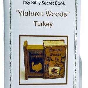 Robin Betterley Itsy Betsy Teeny Secret Travel Book Kit - Etsy