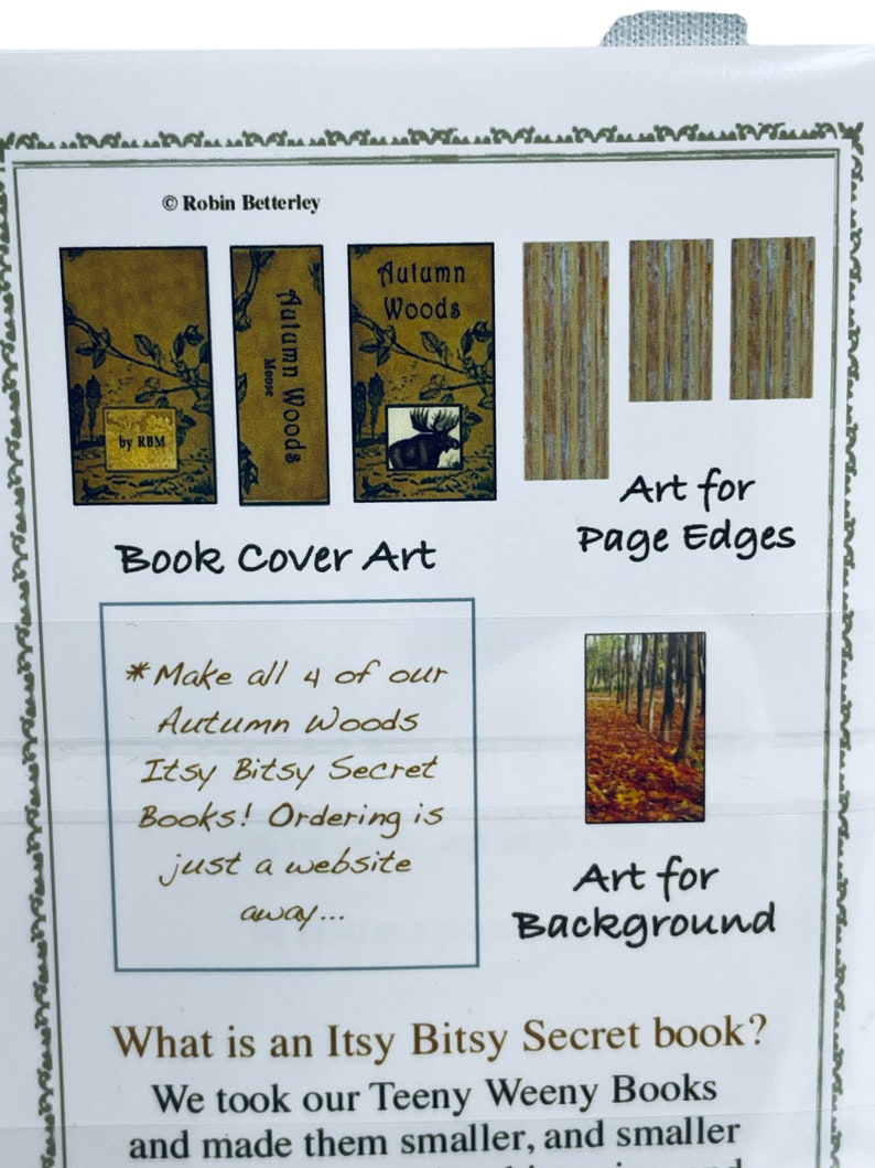Robin Betterley Itsy Betsy Teeny Secret Travel Book Kit - Etsy