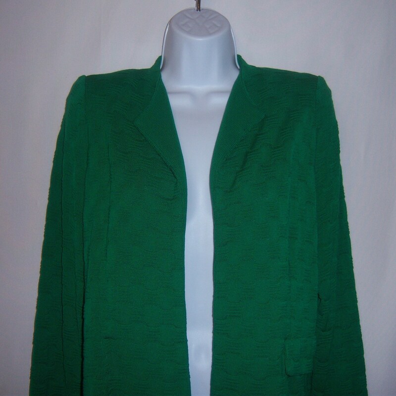Kelly Green Jacket - Etsy