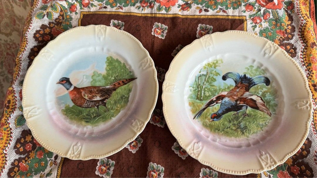 European Germany Handpainted Pheasant Bird Plate Set of Two - Etsy