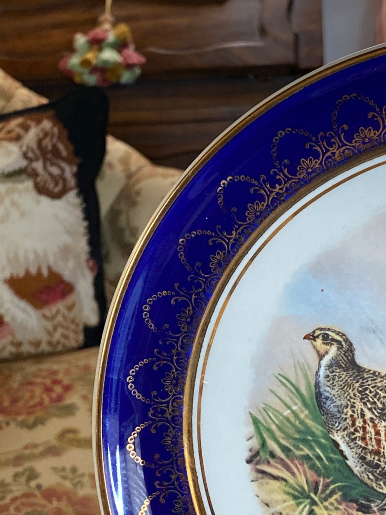 Arklow Irish Ireland Pheasant Bird Decorative Plate - Etsy