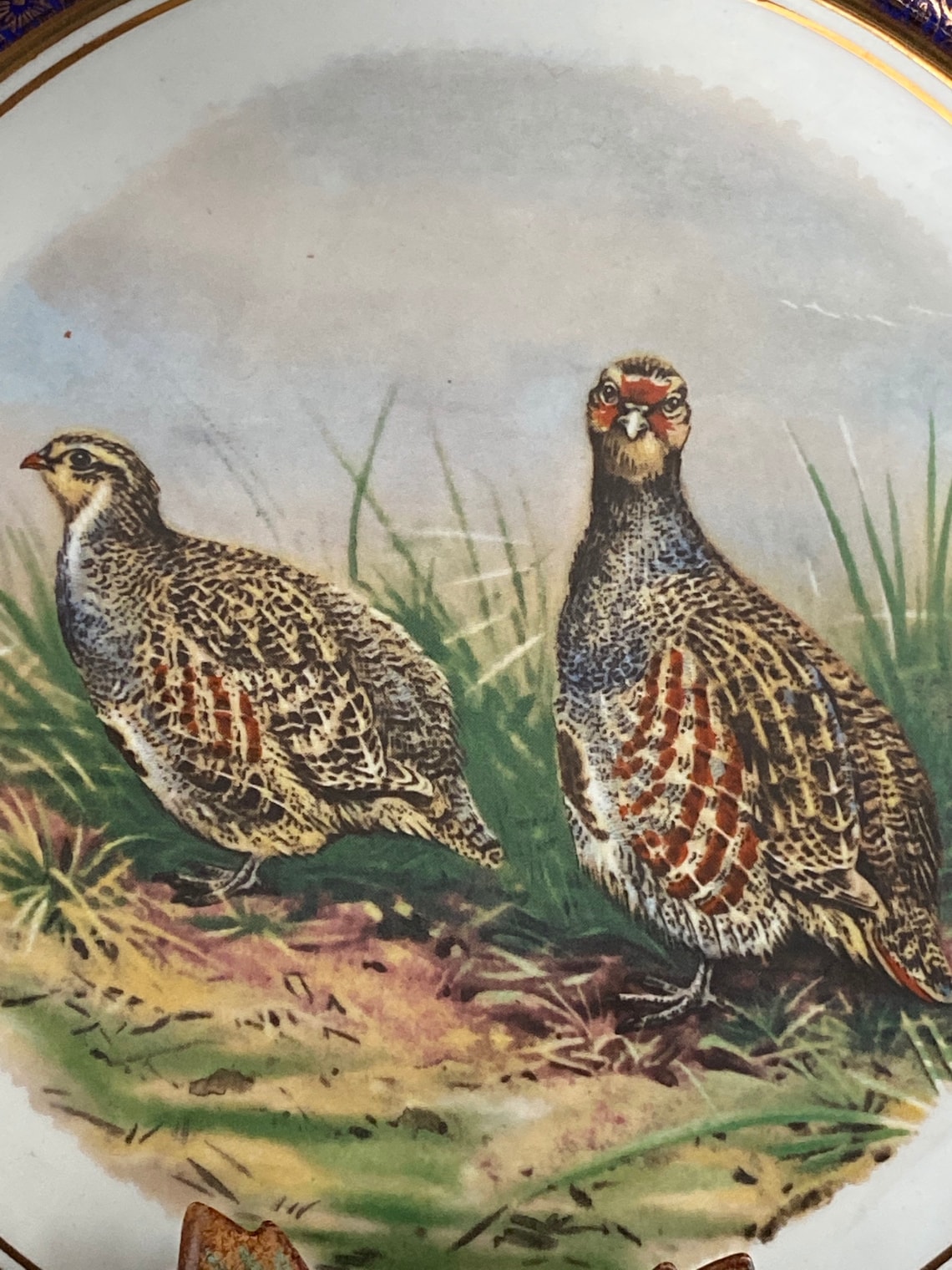 Arklow Irish Ireland Pheasant Bird Decorative Plate - Etsy