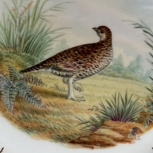English Country Pheasant Bird French Enamel Pate Sur Pate Border Plate ...