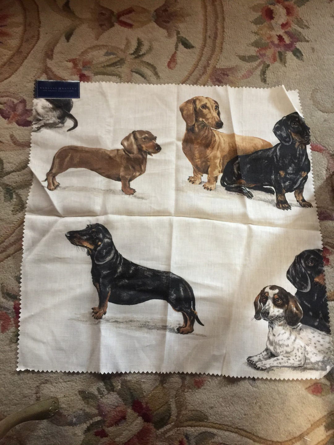 Caprichoso Barclay Butera Kravet Kingsley Dachshund Dog - Etsy España