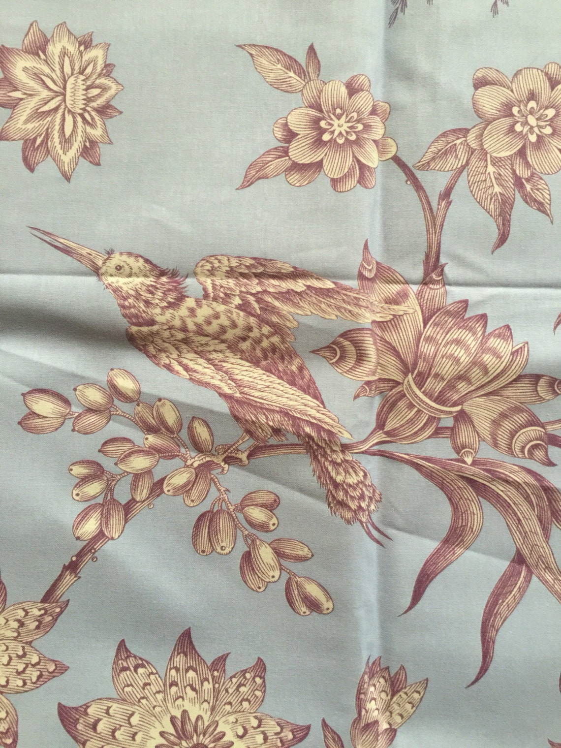 Beach Chic Shore English Shell Toile Print by Brunschwig&fil - Etsy