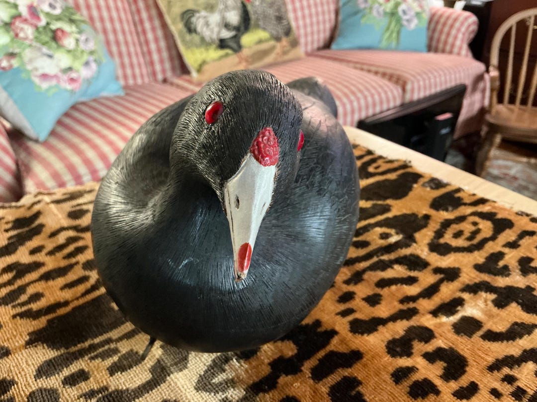 Vintage Classic Hunting Coot Duck Decoy - Etsy