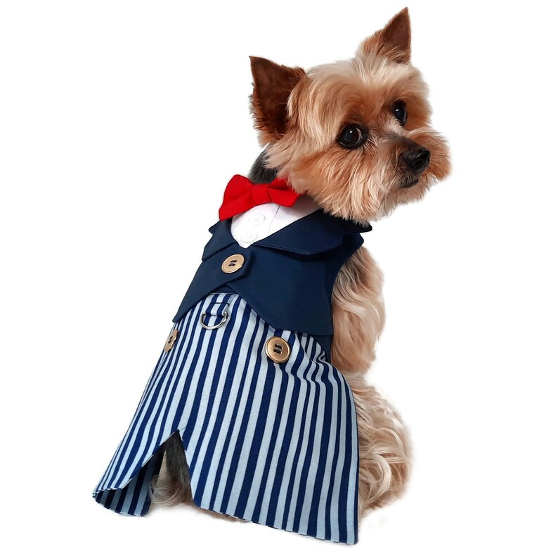 Maisie Dog Suit and Dress Sewing Pattern 1539 Wedding Dog | Etsy