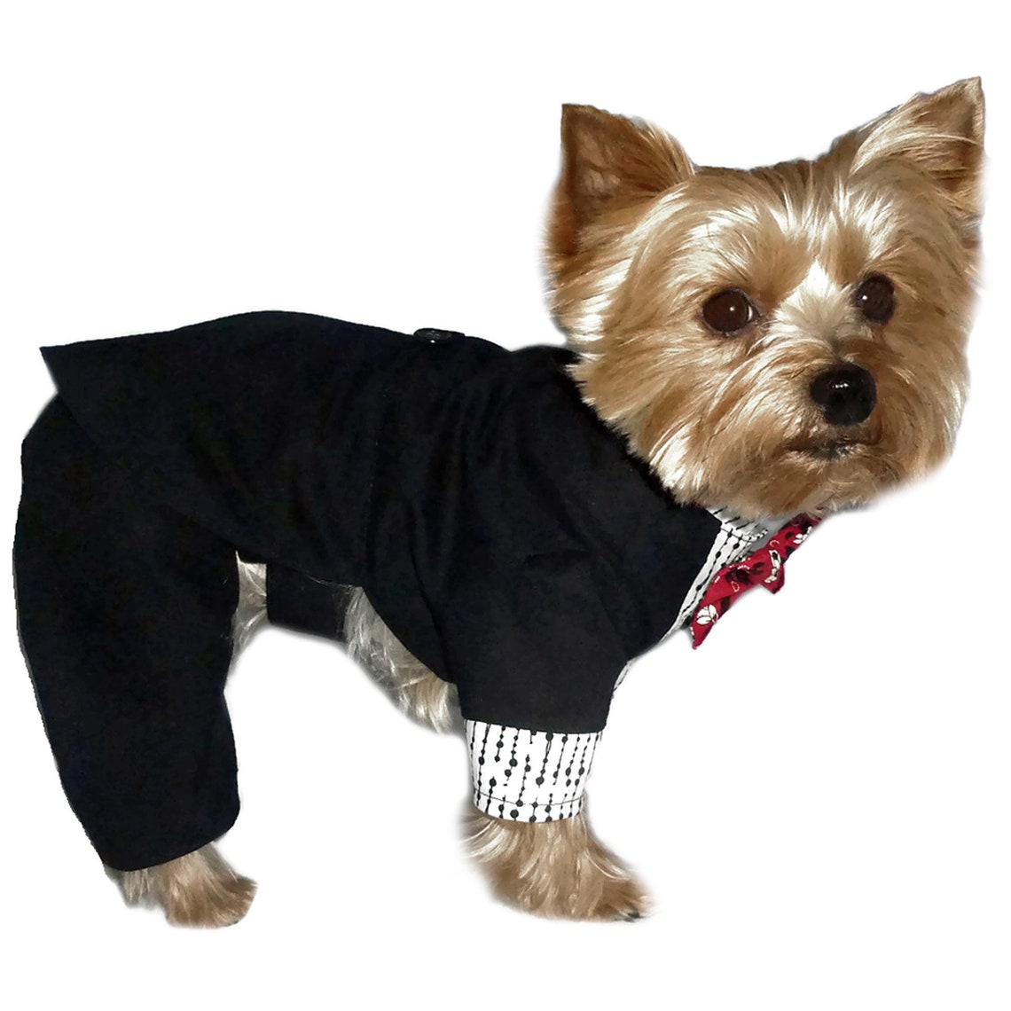 Dog Tuxedo Sewing Pattern 1792 Dog Wedding Attire Pet Cat - Etsy