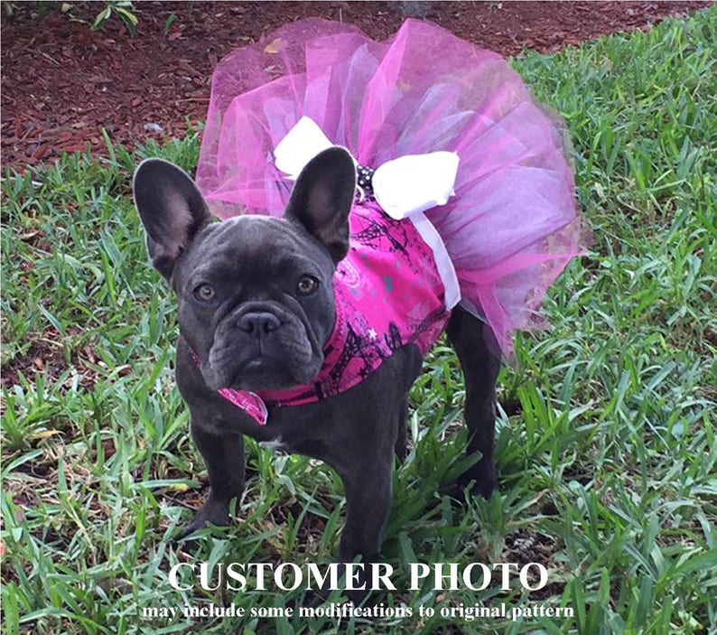 Dog Tutu Dress Sewing Pattern 1701 Pet Tutu Cat Tutu Dog | Etsy