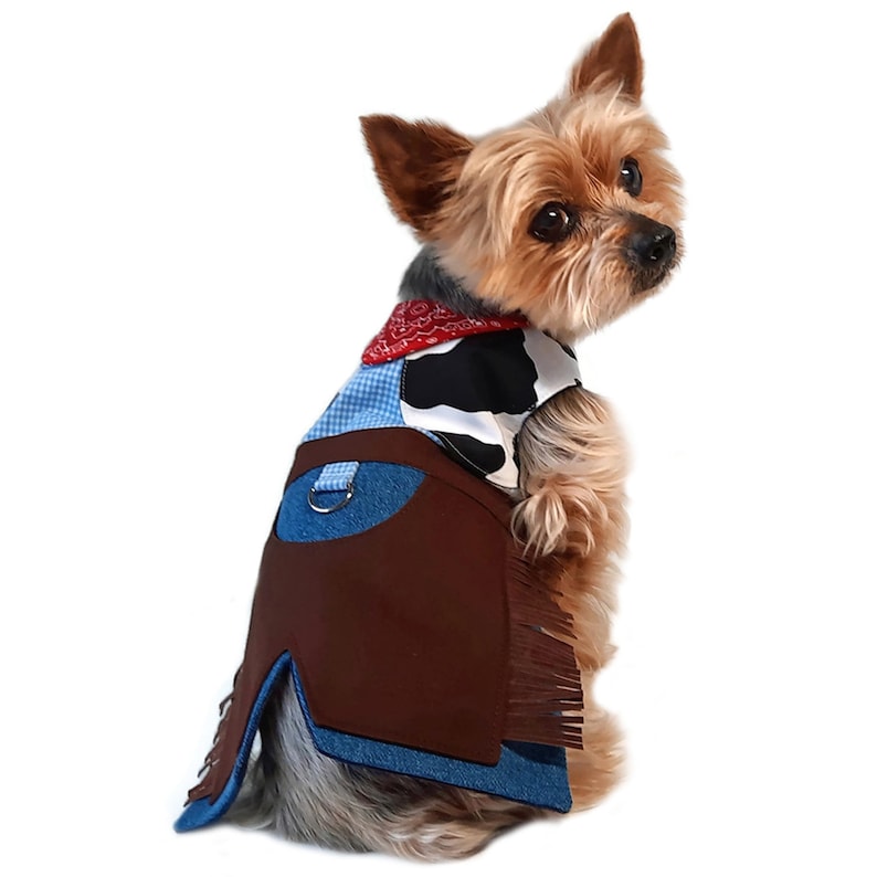 Cowdog Dude and Diva Sewing Pattern 1523 Cowboy Dog and Pet - Etsy