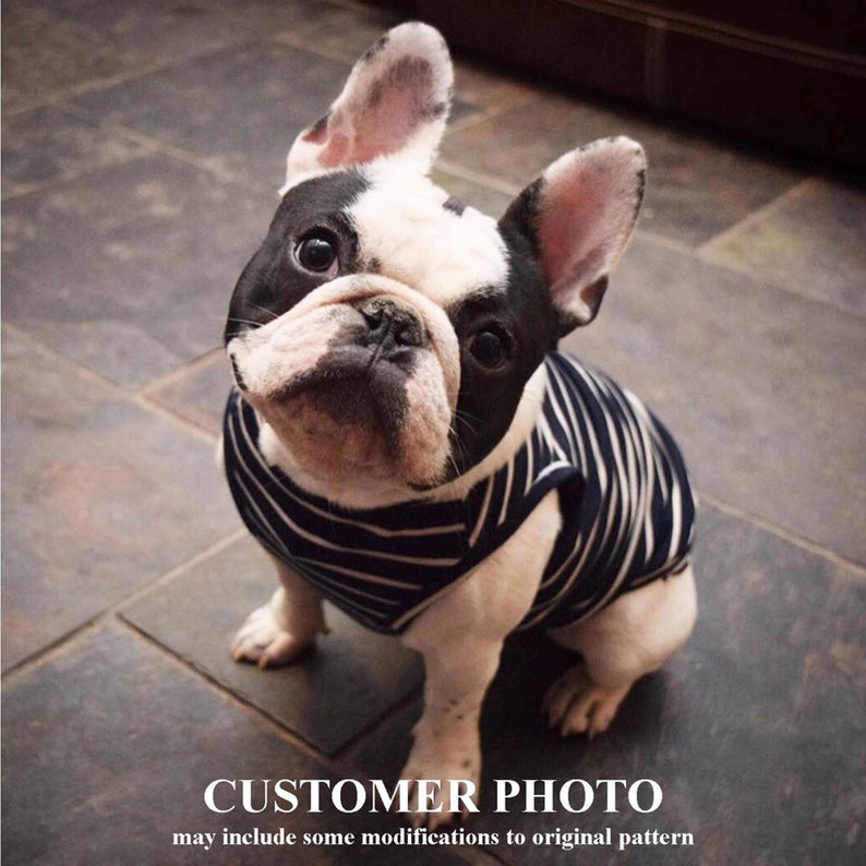 Dog Tank Top Sewing Pattern 1719 Dog Sports Shirt Small | Etsy