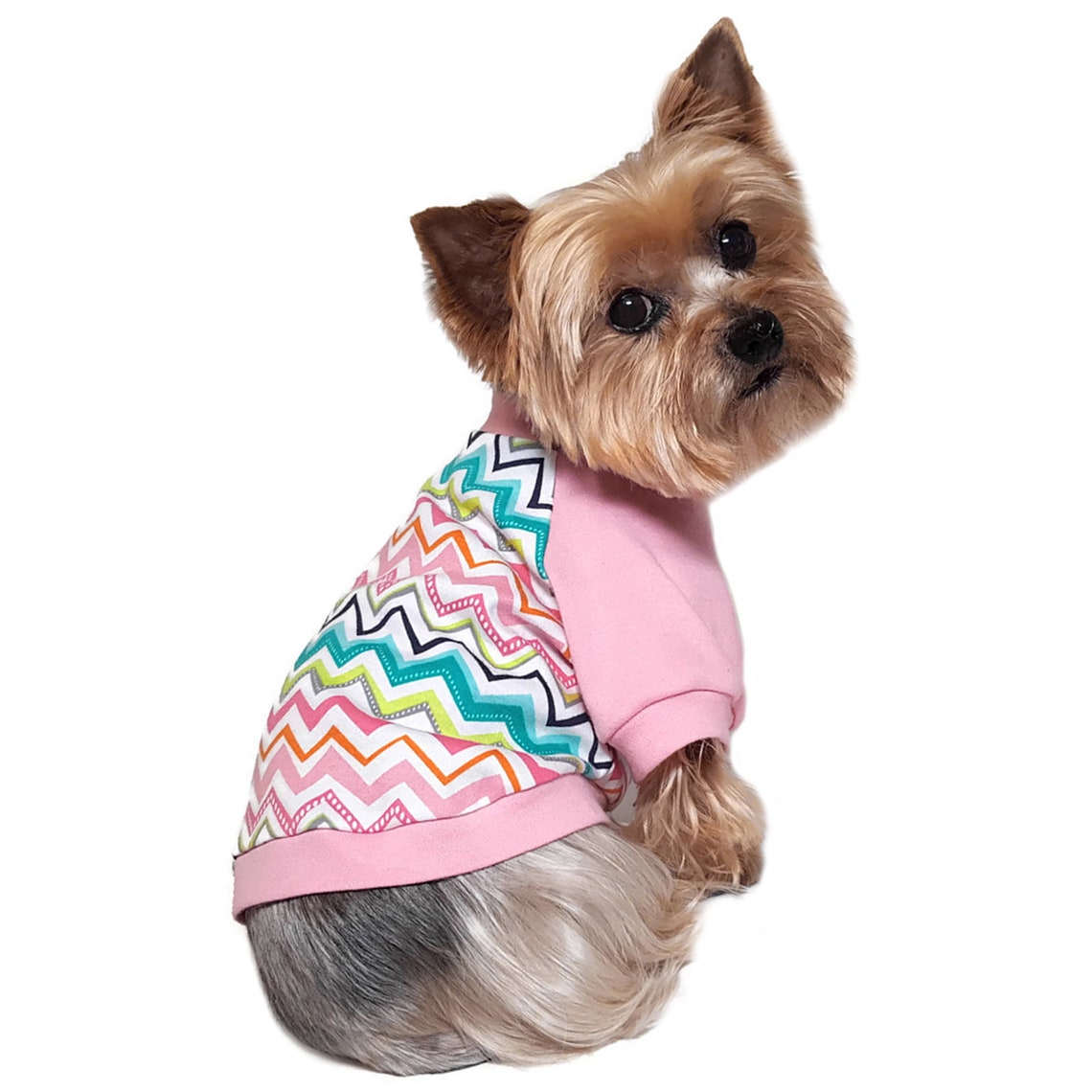 Dog Tee Shirt Sewing Pattern 1764 Dog Clothes Patterns Dog - Etsy