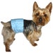 Male Dog Belly Band Sewing Pattern Xxsm–xxlg – PDF DIY Diaper Wrap for ...